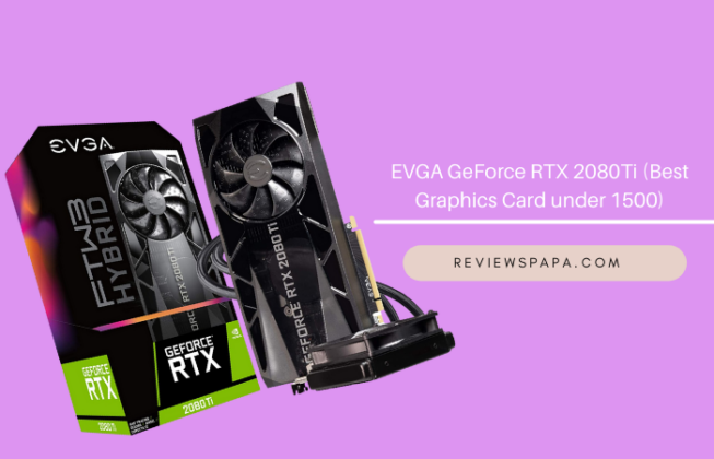 Top 10 Most Expensive Graphics Card 2023 - Complete Buying Guide